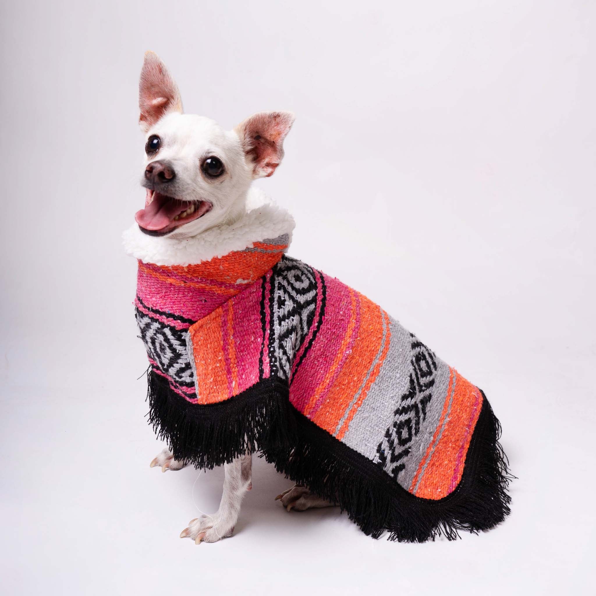 Mexican Pets Clothing | Pets Clothing Clothing | Ikal Cultura LLC